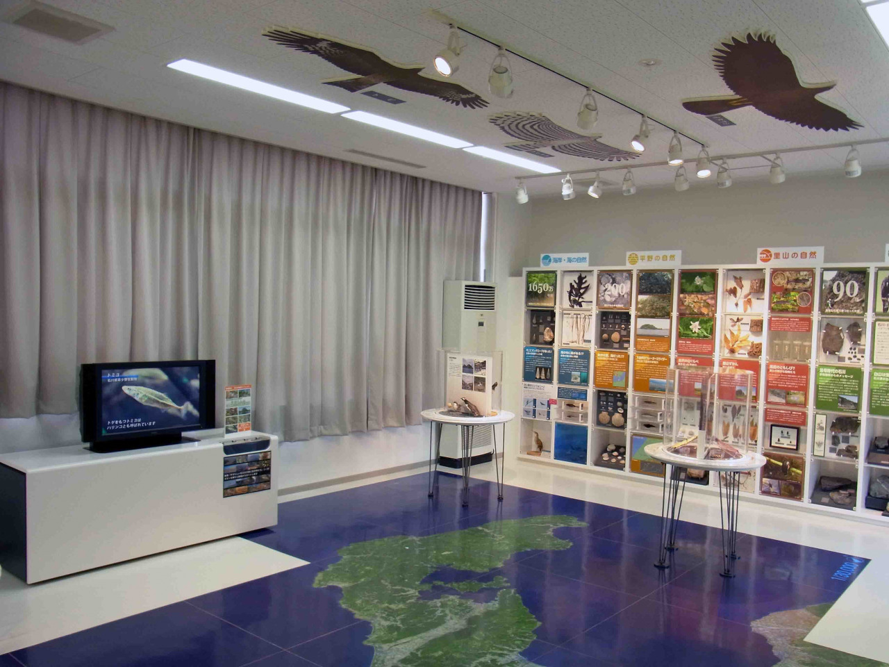 石川県立自然史資料館｜スポット｜【公式】石川県の観光/旅行サイト「ほっと石川旅ねっと」